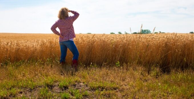 How Big Is 3 Acres Or 5 Acres Of Land? (Visually) - Groomed Yard