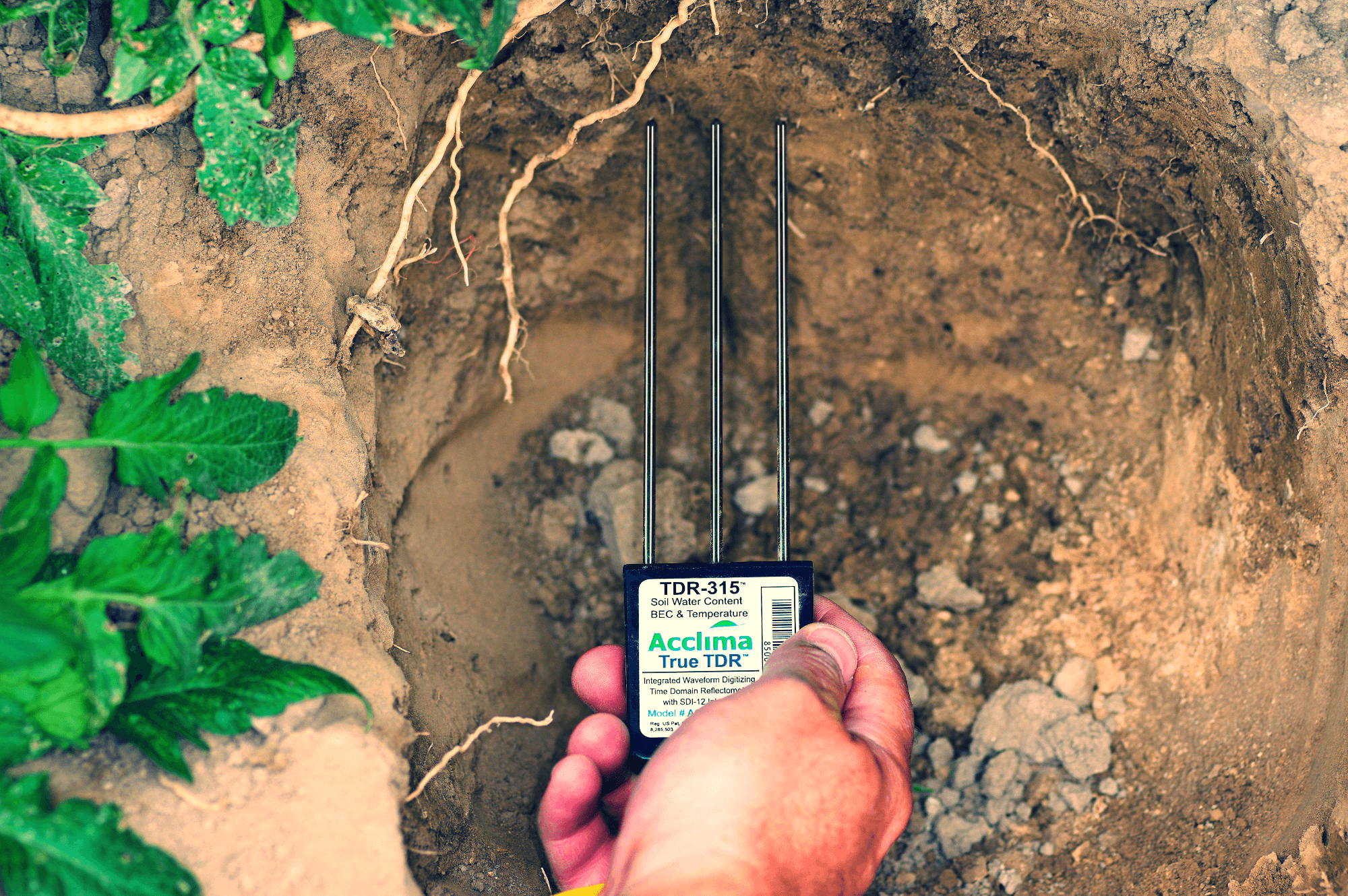How Does A Soil Moisture Sensor Work: 4 Reasons You Should Use Them ...